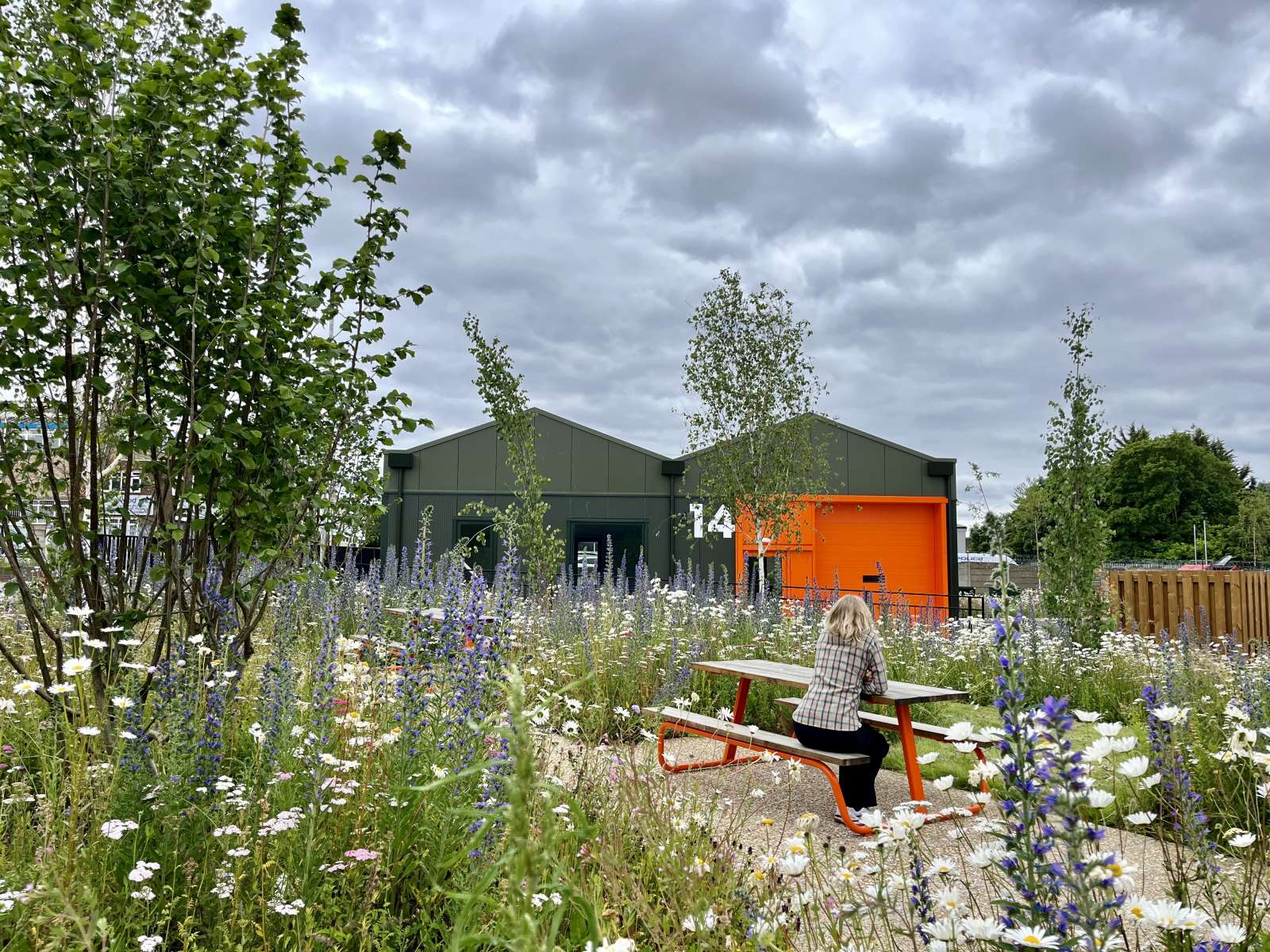 Faraday Close - Meadow in full bloom